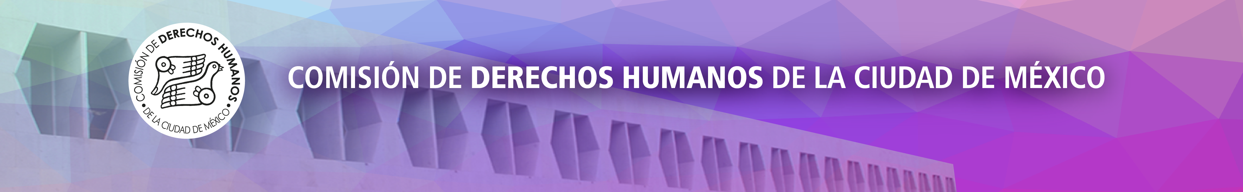 La Convención Americana De Los Derechos Humanos Herramienta